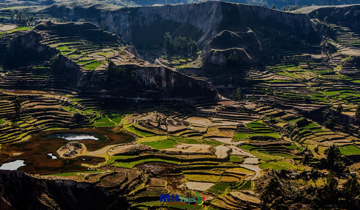 Explorando o Vale Sagrado dos Incas: Um Guia Completo para uma ...